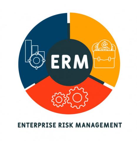 Understanding Enterprise Risk Management | Riskpro India - Connect with Risk Professionals